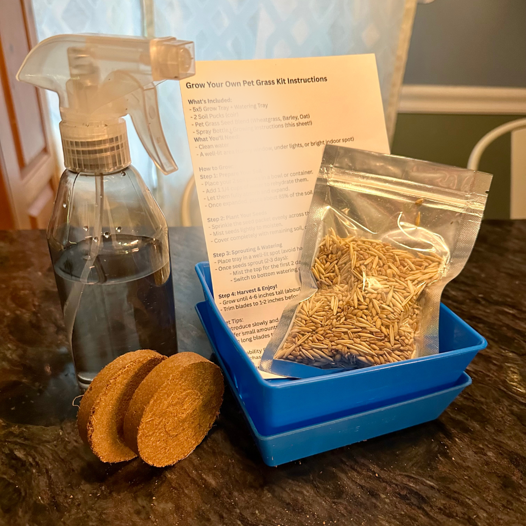 Grow at Home Pet Grass Kit – The Itsy Bitsy Veggie Co.